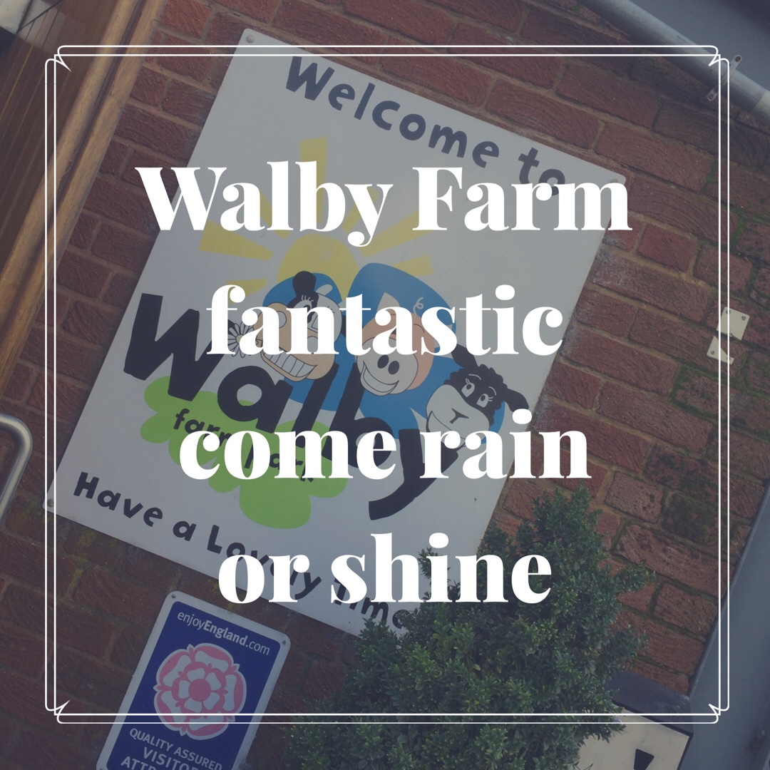 Walby Farm Park – fantastic come rain or shine – Fraser’s Fun House