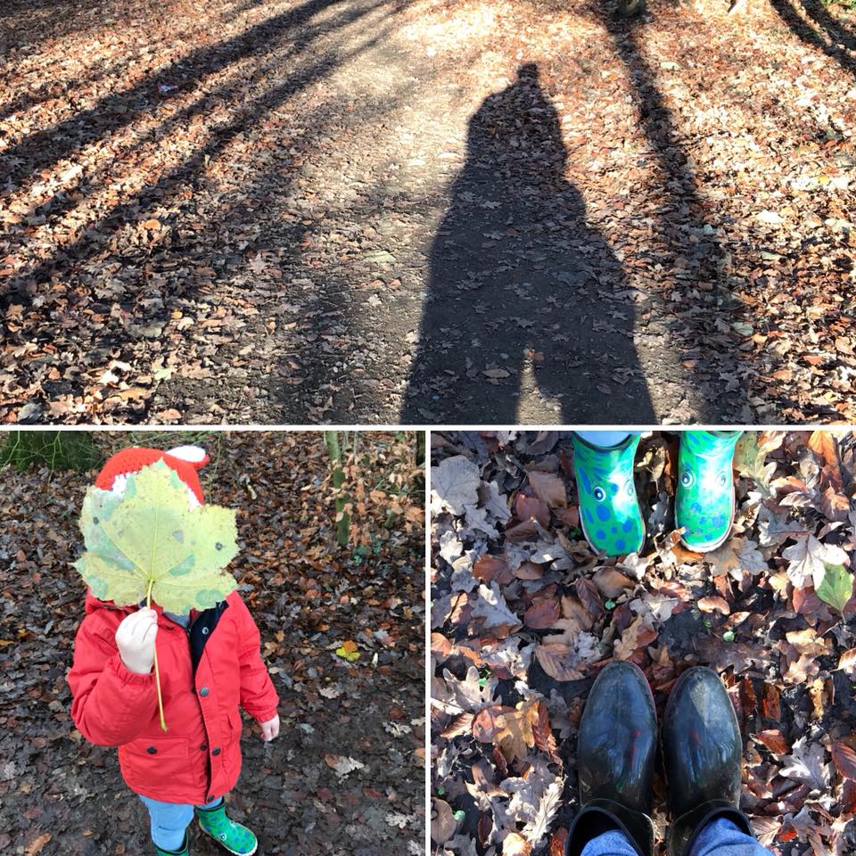 10 Reasons To Love Autumn – Fraser’s Fun House