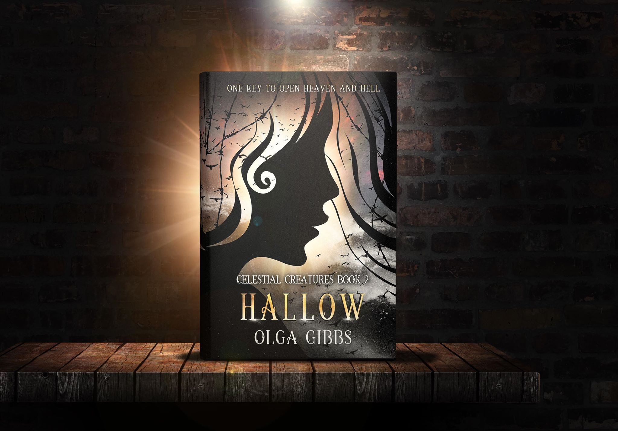 Book Review: Hallow By Olga Gibbs – Fraser’s Fun House