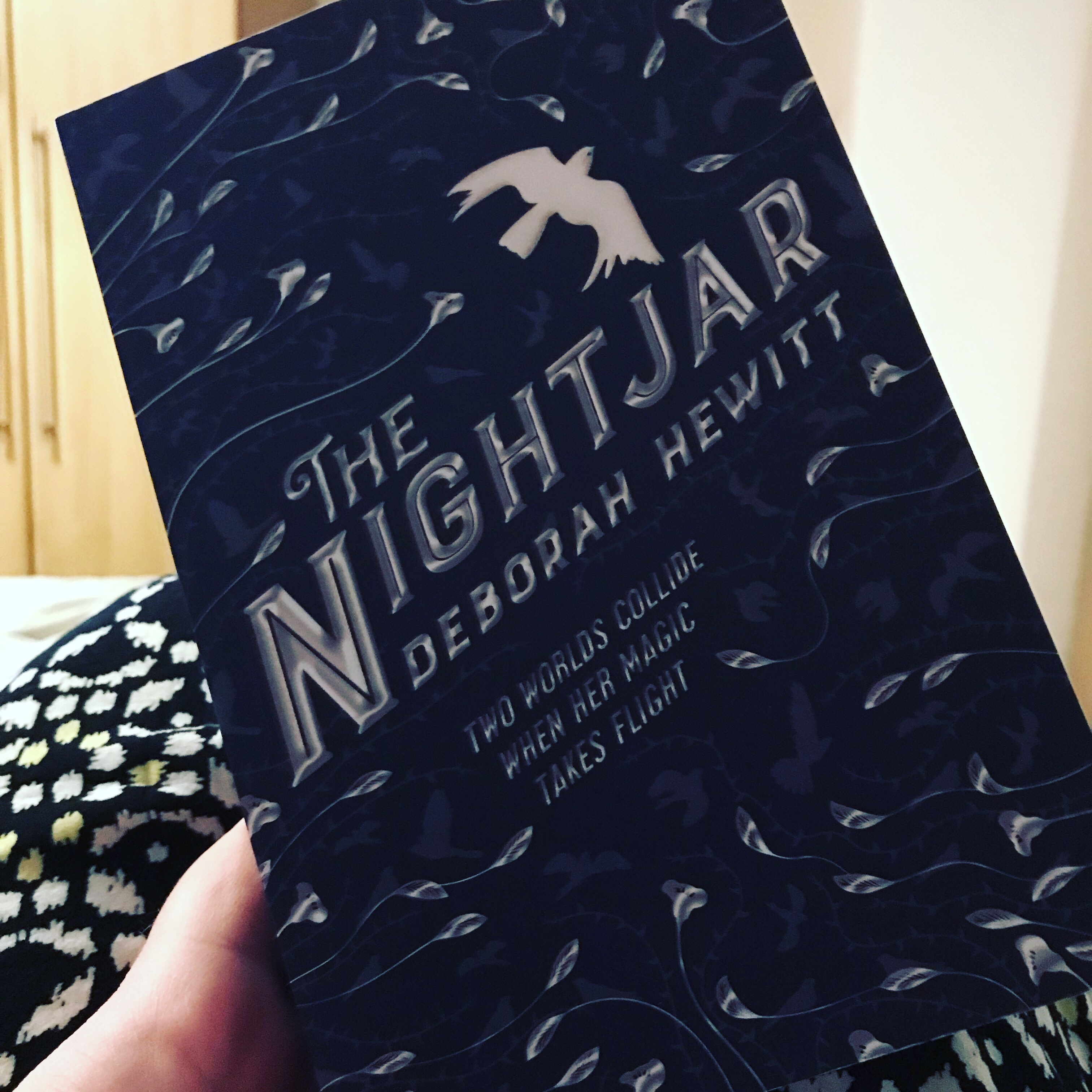 Book Review: The Nightjar By Deborah Hewitt – Fraser’s Fun House